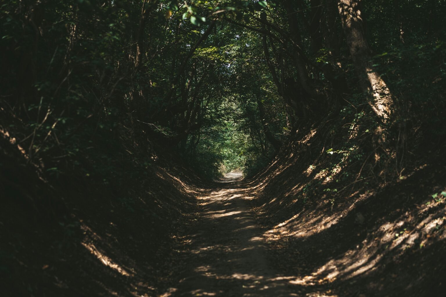 50+ Quotes on Finding Your Path in Life - Quote Wisdom