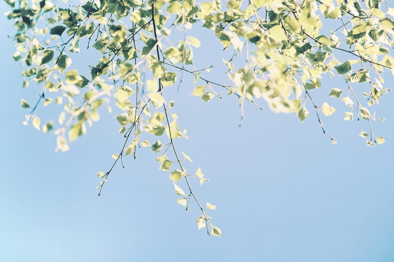 25 Uplifting Quotes to Inspire Hope, Strength & Positivity - Quote Wisdom
