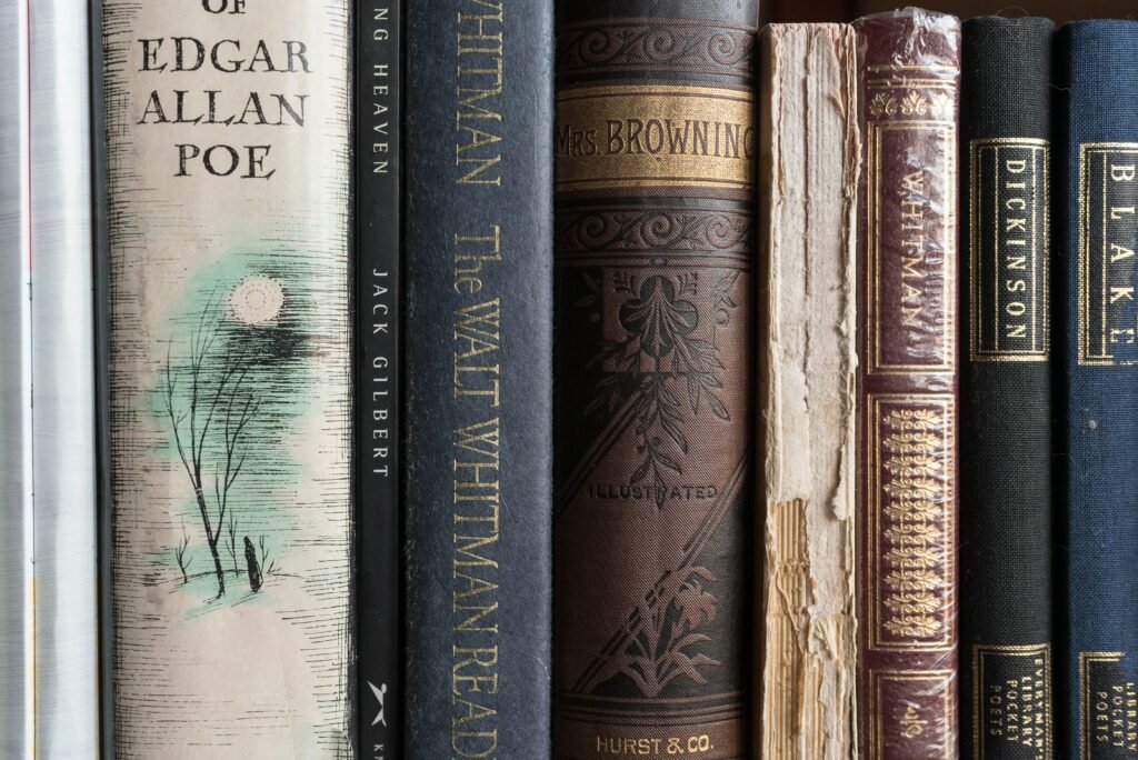 60 Edgar Allan Poe Quotes on Love, Life, Death, and Mystery - Quote Wisdom