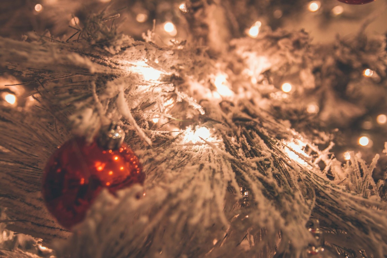 80 Heartwarming Quotes for the Holiday Season - Quote Wisdom